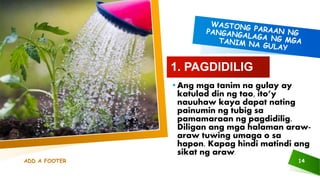 EPP/TLE Agriculture | PPTX