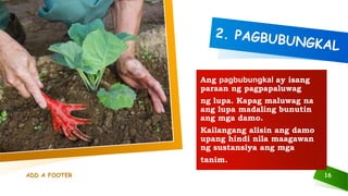 EPP/TLE Agriculture | PPTX