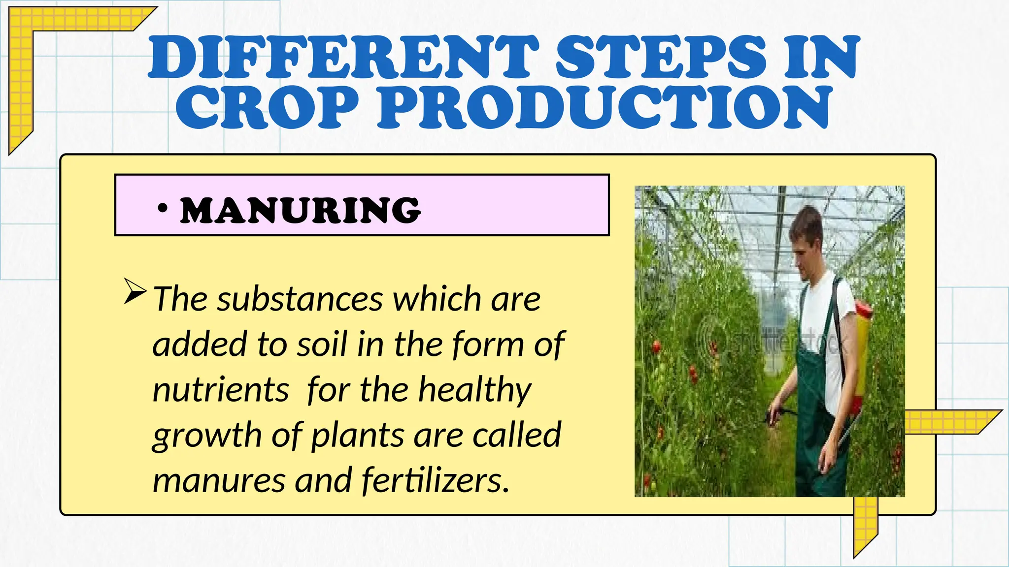 Agriculture: Crop Production in EPP Subject | PPTX