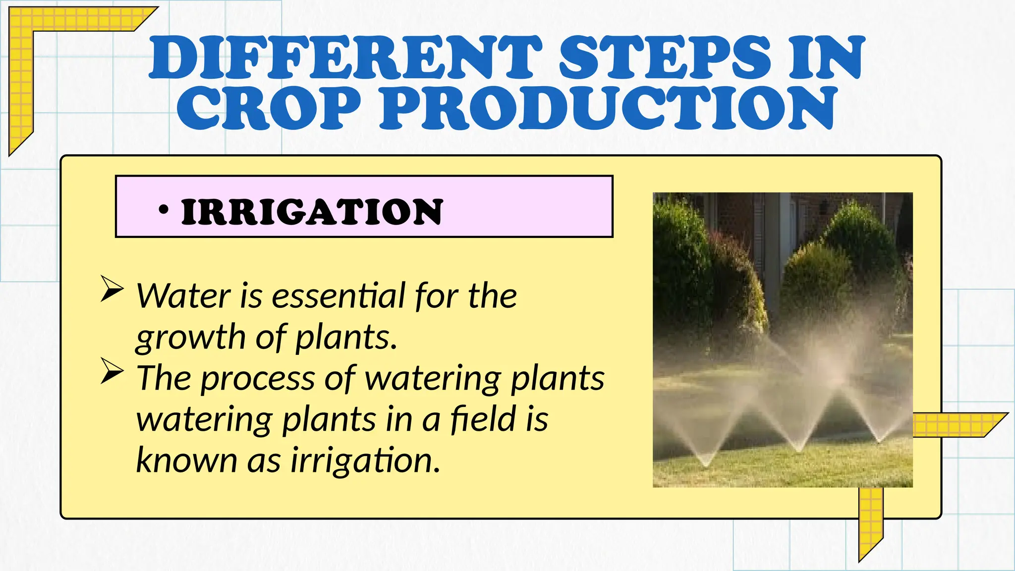 Agriculture: Crop Production in EPP Subject | PPTX