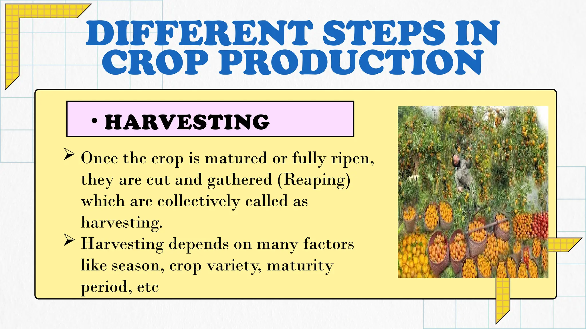 Agriculture: Crop Production in EPP Subject | PPTX