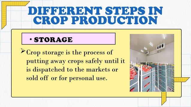 Agriculture: Crop Production in EPP Subject | PPTX