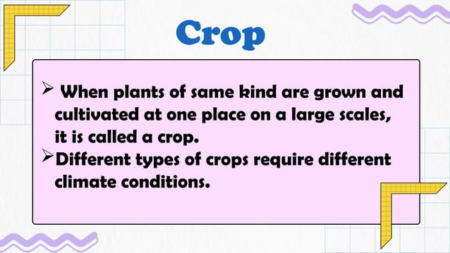 Agriculture: Crop Production in EPP Subject | PPTX