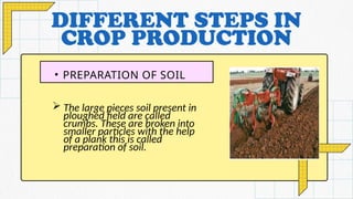 Agriculture: Crop Production in EPP Subject | PPTX