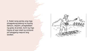 Epp IV Agriculture | PPTX