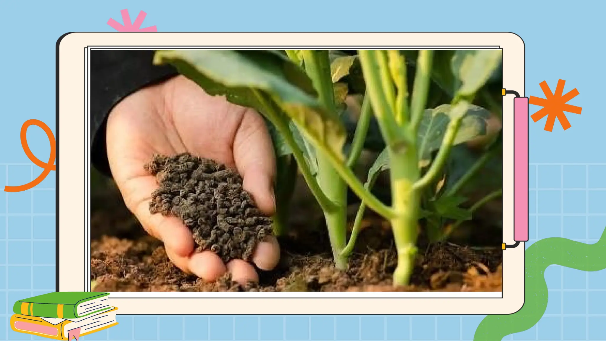 EPP Q2W4 G-4................................pptx