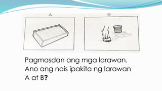 EPP 4 Kapakinabangan ng Pagtatanim ng Halamang Ornamental | PPT