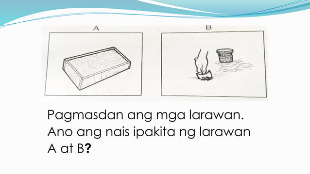 EPP 4 Kapakinabangan ng Pagtatanim ng Halamang Ornamental | PPT