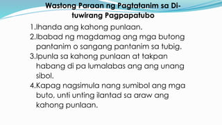 EPP 4 Kapakinabangan ng Pagtatanim ng Halamang Ornamental | PPT