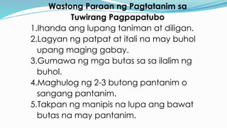 EPP 4 Kapakinabangan ng Pagtatanim ng Halamang Ornamental | PPT