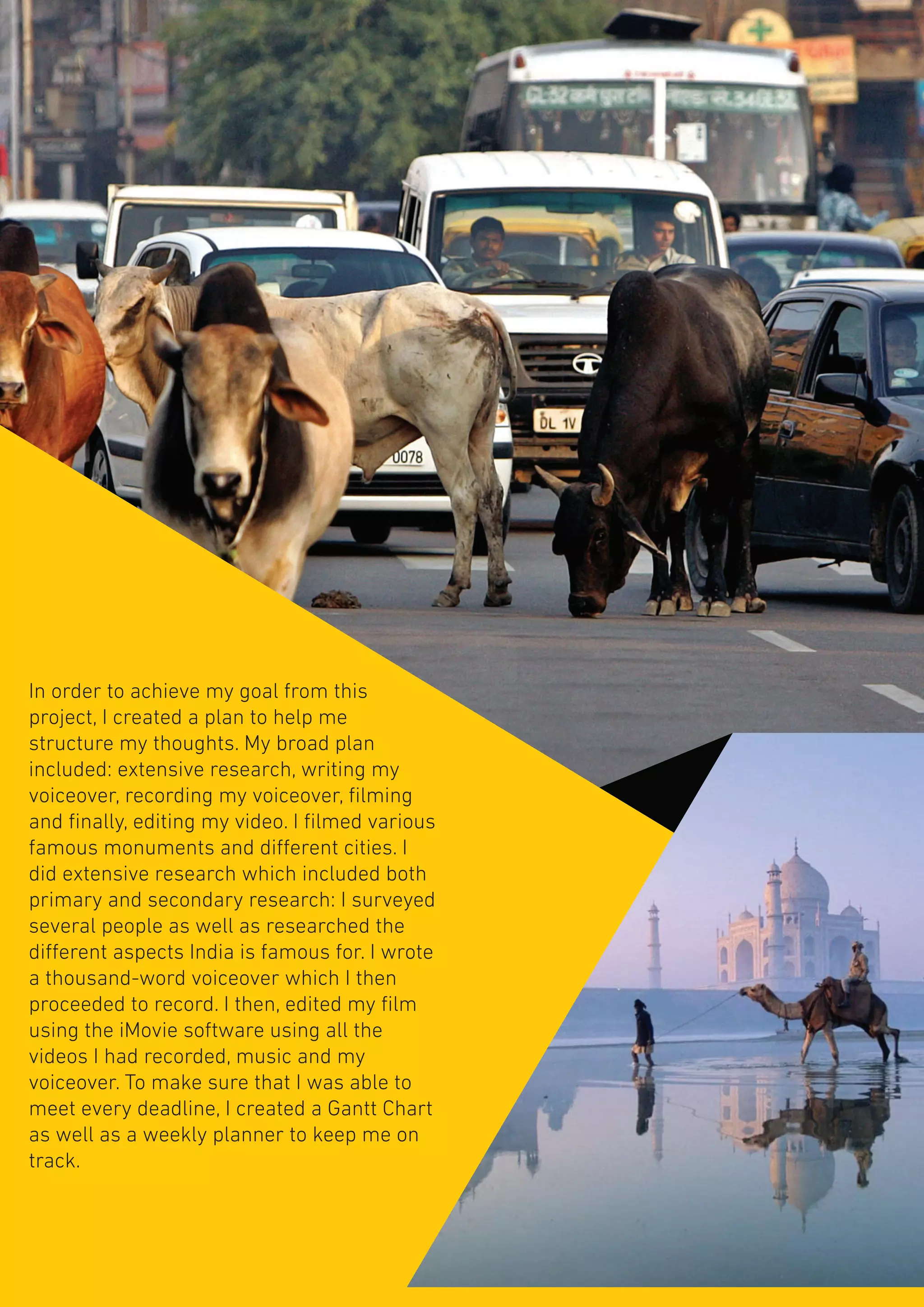 Breaking Stereotypes | PDF | Science