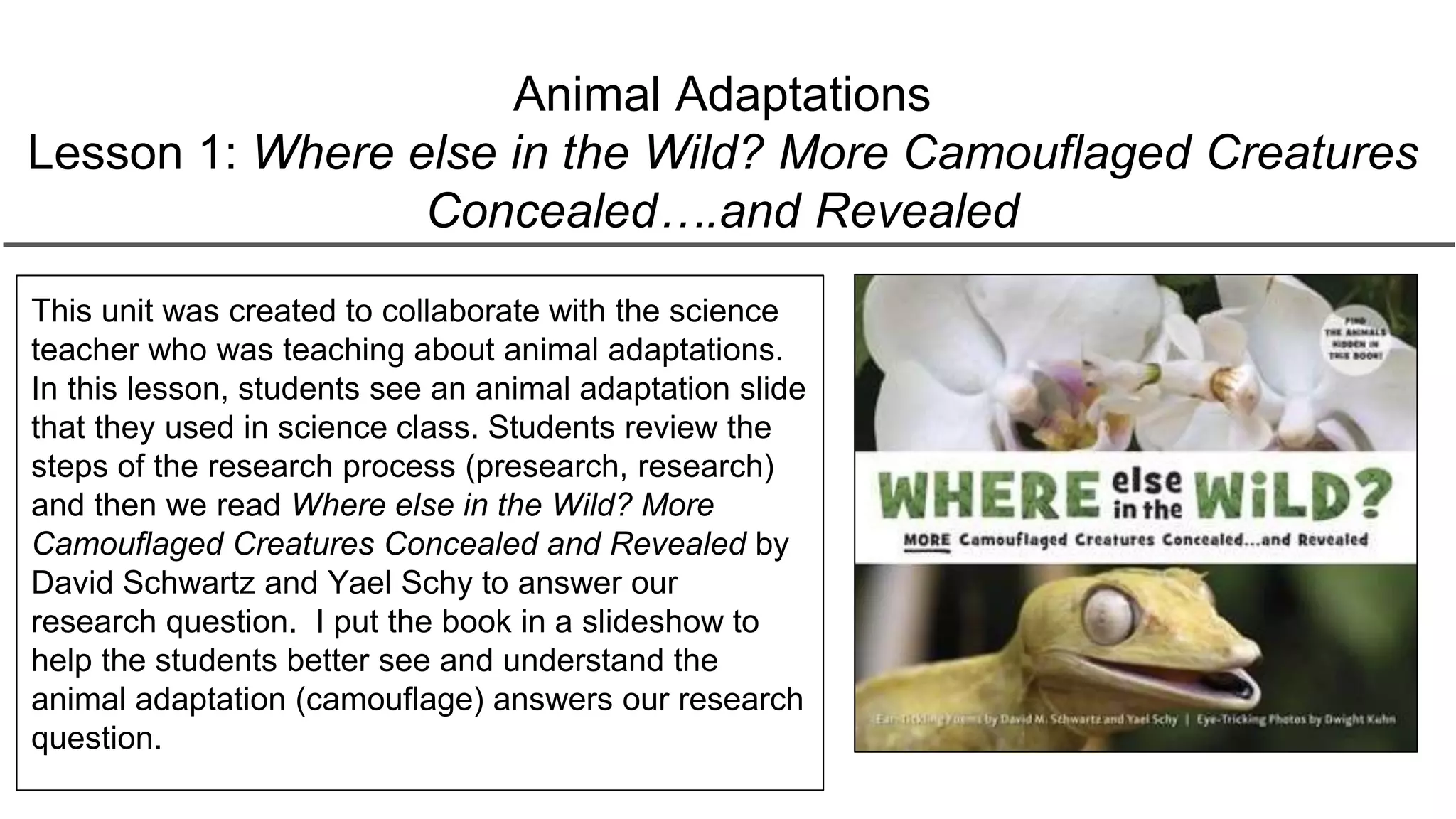 Lesson 1 animal adaptations (where else in the wild) | PPTX