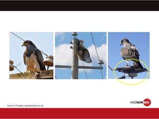 Animal mitigation products for high voltage networks | PPT