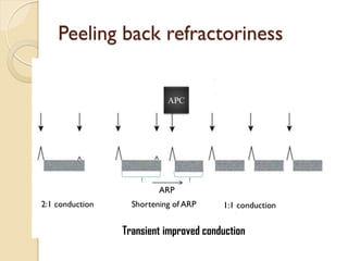 Electrophysiologic phenomena of the Heart | PDF