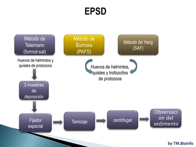 Epsd y test de graham | PPT