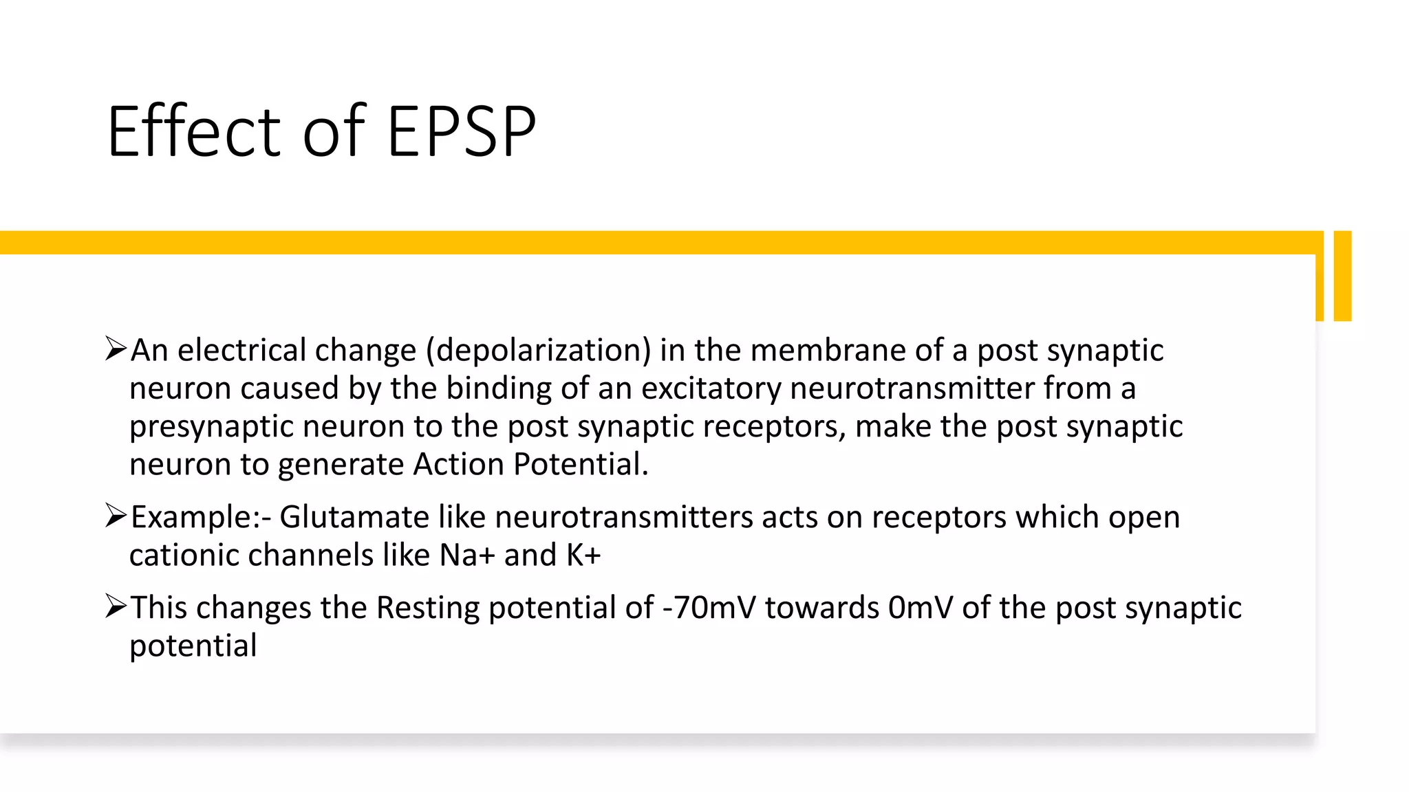 EPSP and IPSP | PDF
