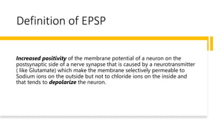 EPSP and IPSP | PDF