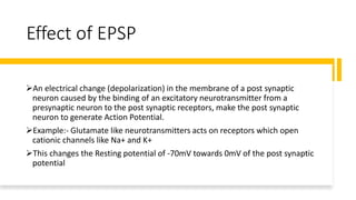 EPSP and IPSP | PDF