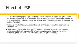 EPSP and IPSP | PDF