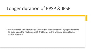 EPSP and IPSP | PDF