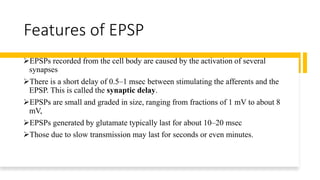 EPSP and IPSP | PPT | Free Download