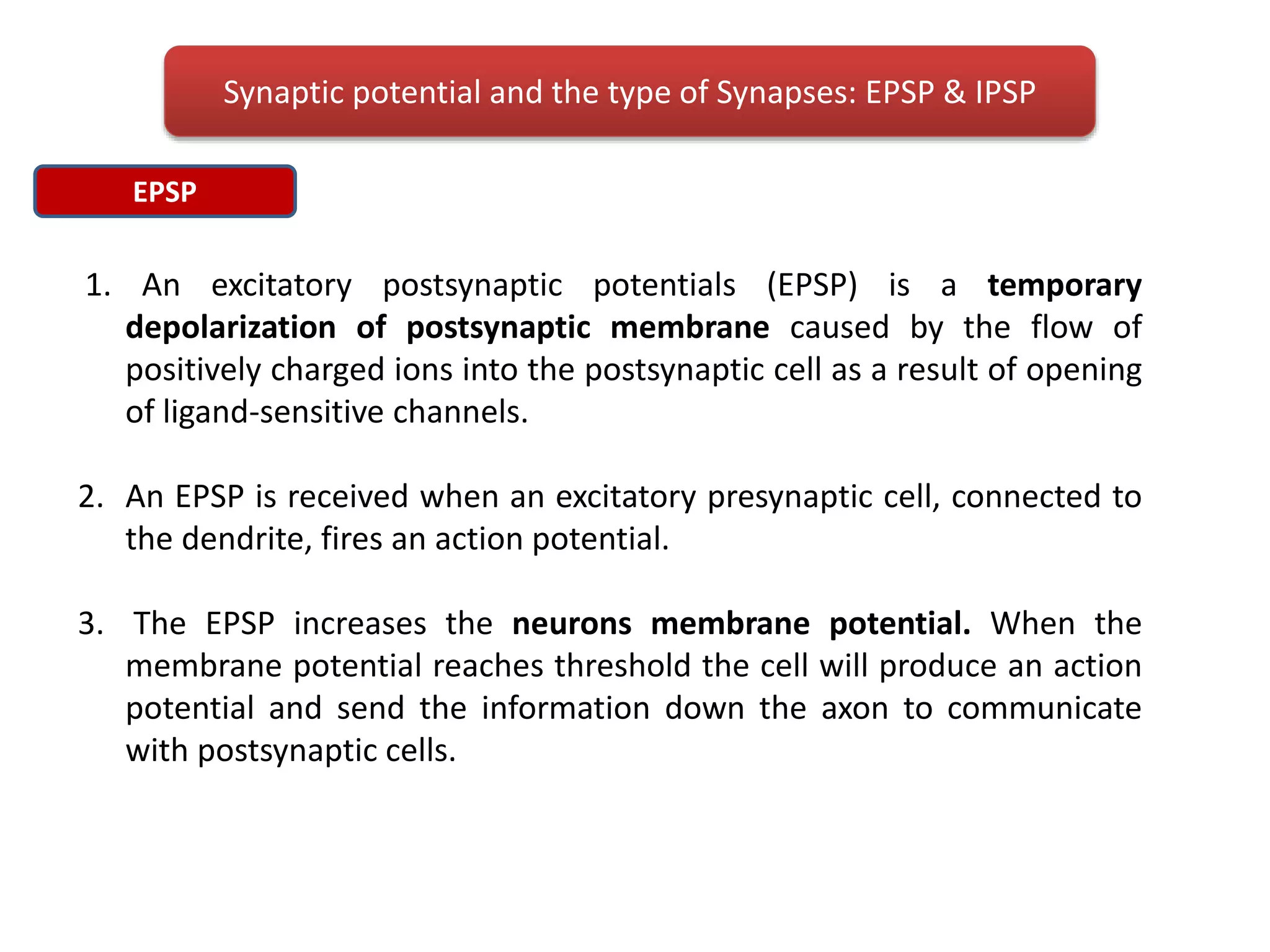 Neuronal Communication -EPSP & IPSP | PPT