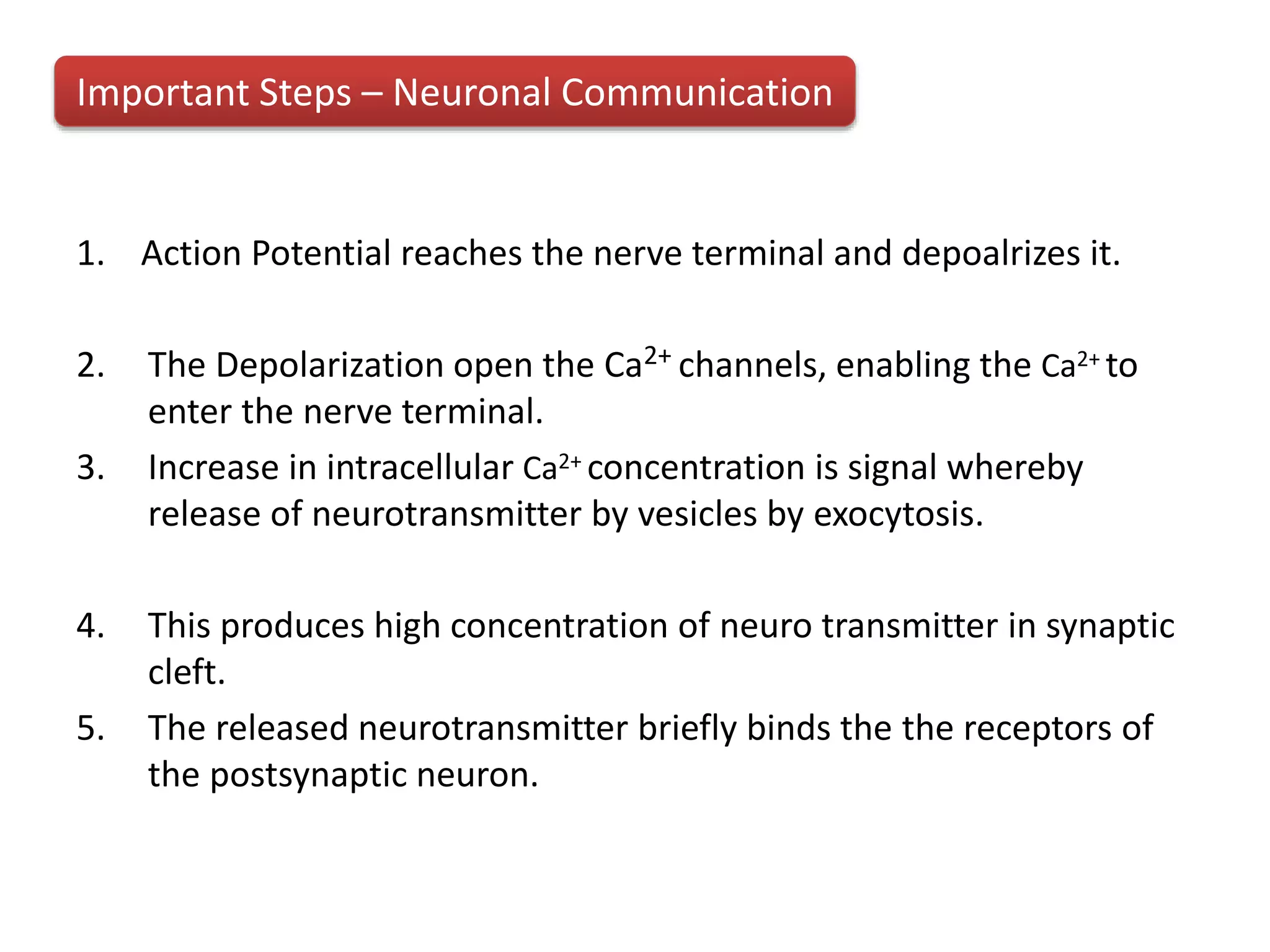 Neuronal Communication -EPSP & IPSP | PPT