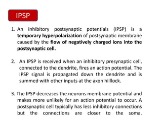 Neuronal Communication -EPSP & IPSP | PPT