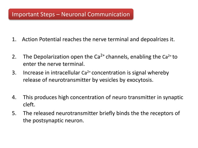 Neuronal Communication -EPSP & IPSP | PPT