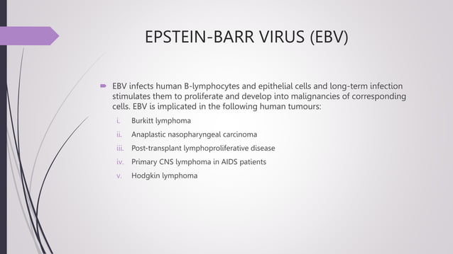 EPSTEIN-BARR VIRUS.pptx | Blood Disorders | Diseases and Conditions