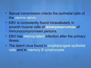Epstein barr virus | PPT