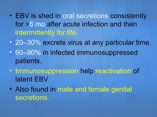 Epstein barr virus | PPT