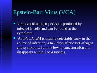 Epstein_Barr_Virius.ppt.pdf