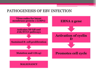 Epstein barr virus (ebv) and varicella | PPT