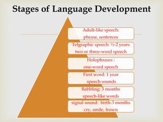 Language Development In Holophrase