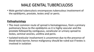 Extra Pulmonary Tuberculosis part 1 genital Tb | PPT