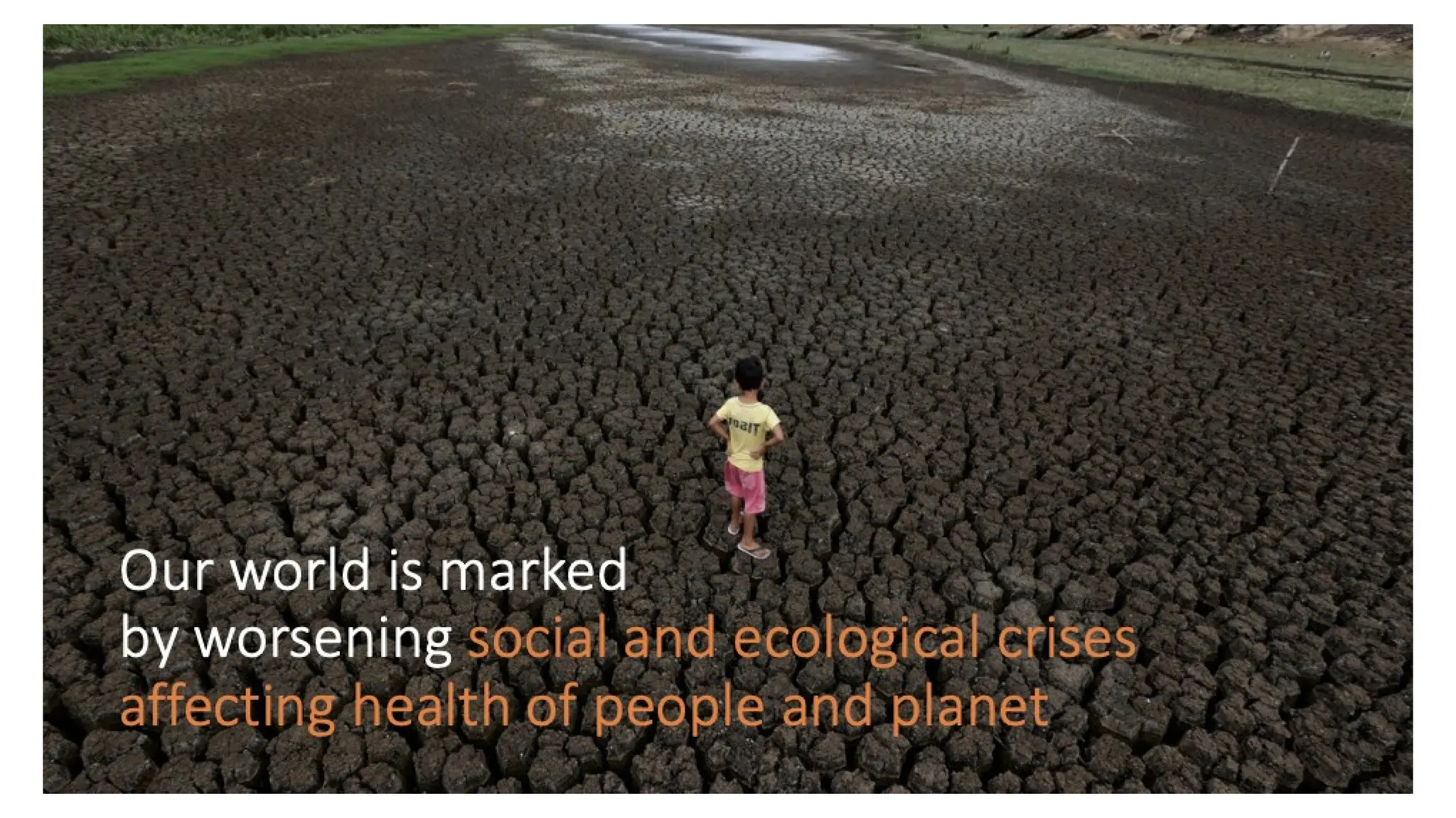 Environmental Physiotherapy: A Transformative Ecological Movement ...