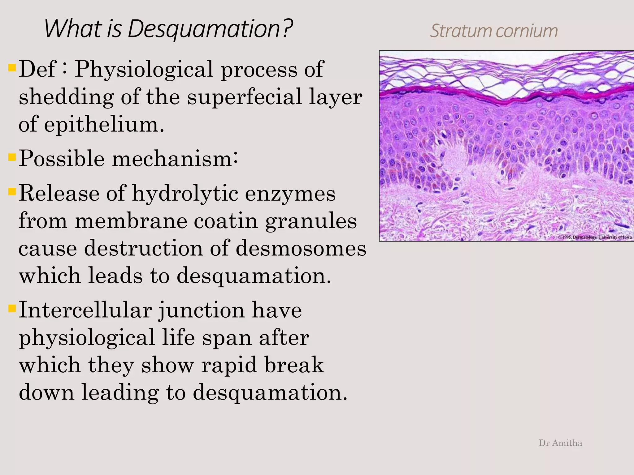 Oral Mucous Membrane | PPTX
