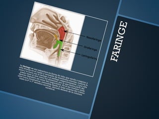 Epu de informatica | PPT