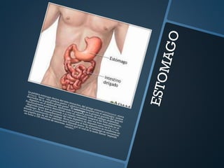 Epu de informatica | PPT