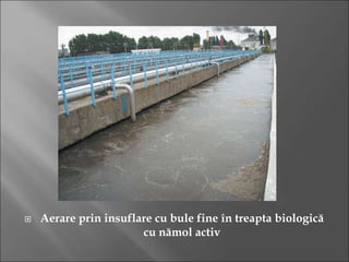epurarea_apelor.ppt