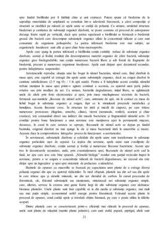 Epurarea bilogica a_apei | DOC