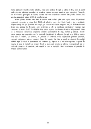 Epurarea bilogica a_apei | DOC