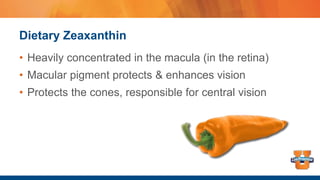 Ocular Nutrition and the Benefits of Zeaxanthin | PPTX