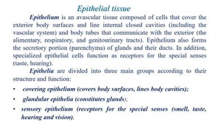 Epythelial tissue | PPT