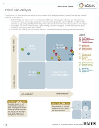 EQ 360 Sample Workplace Report | PDF