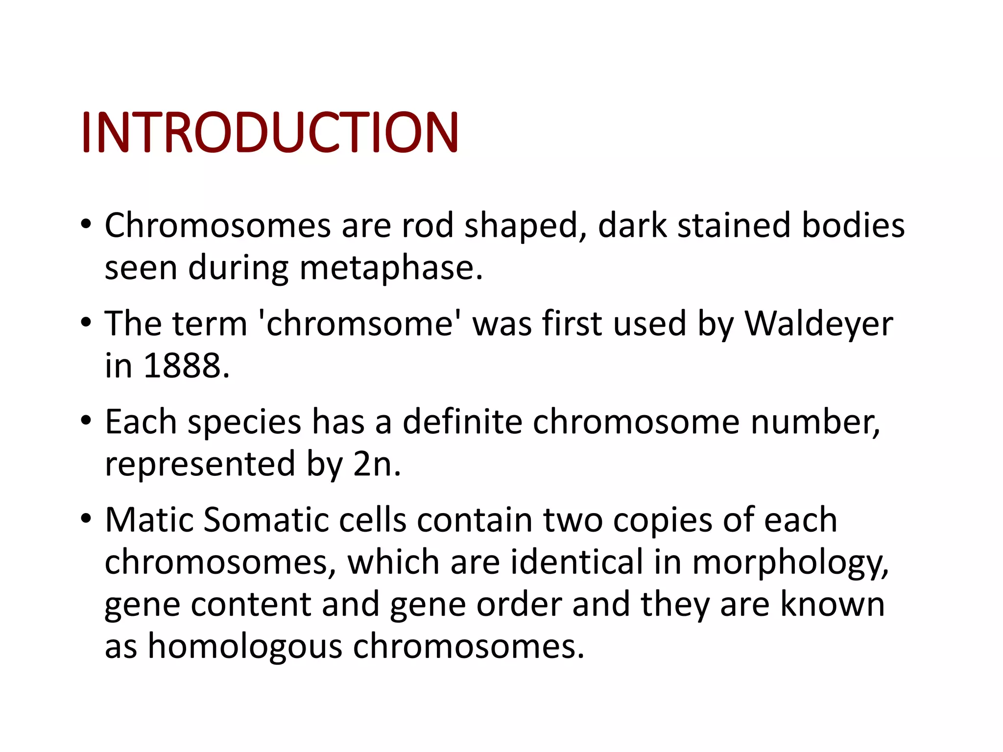 Morphology of Chromosomes | PPTX