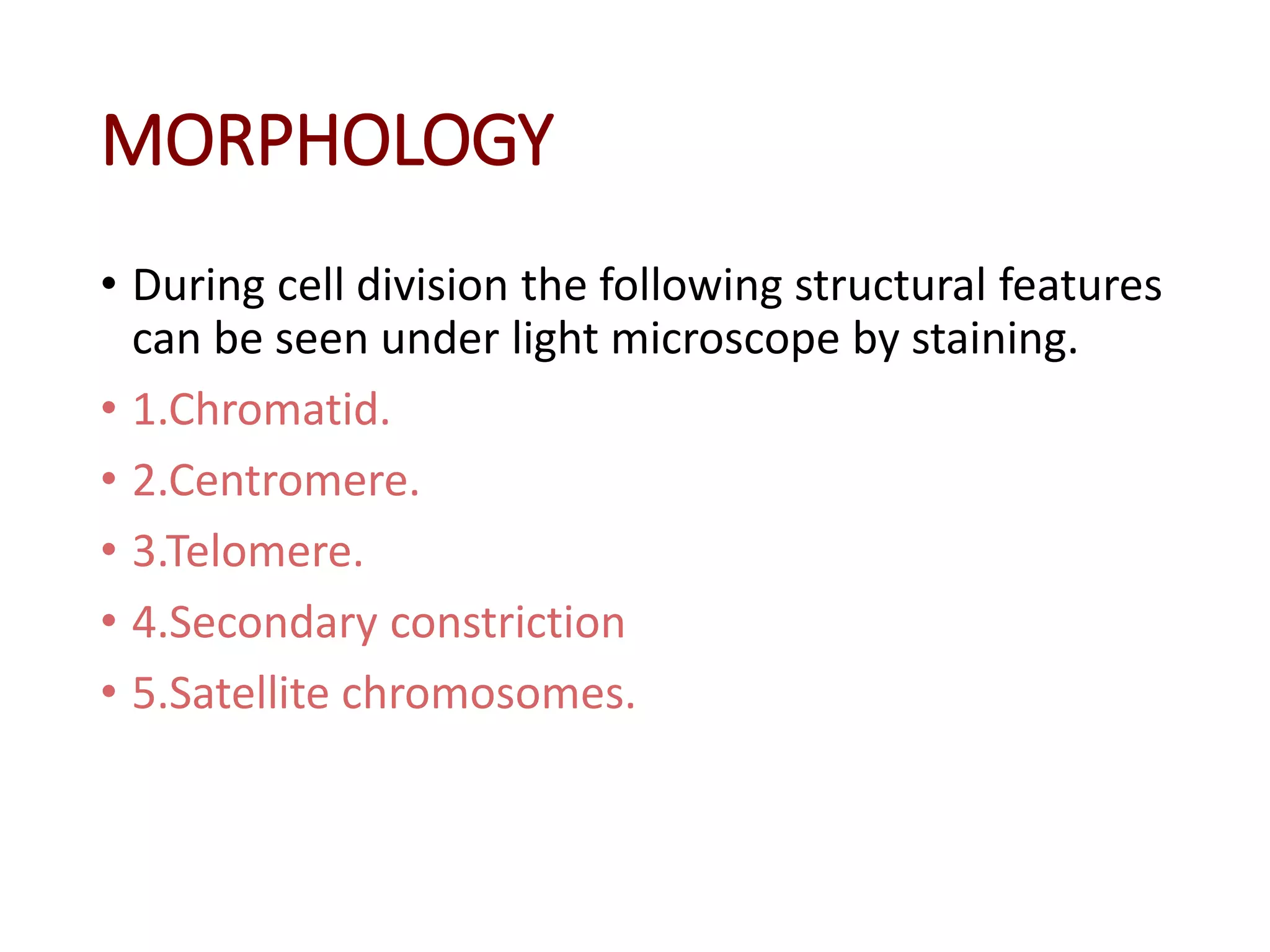 Morphology of Chromosomes | PPTX
