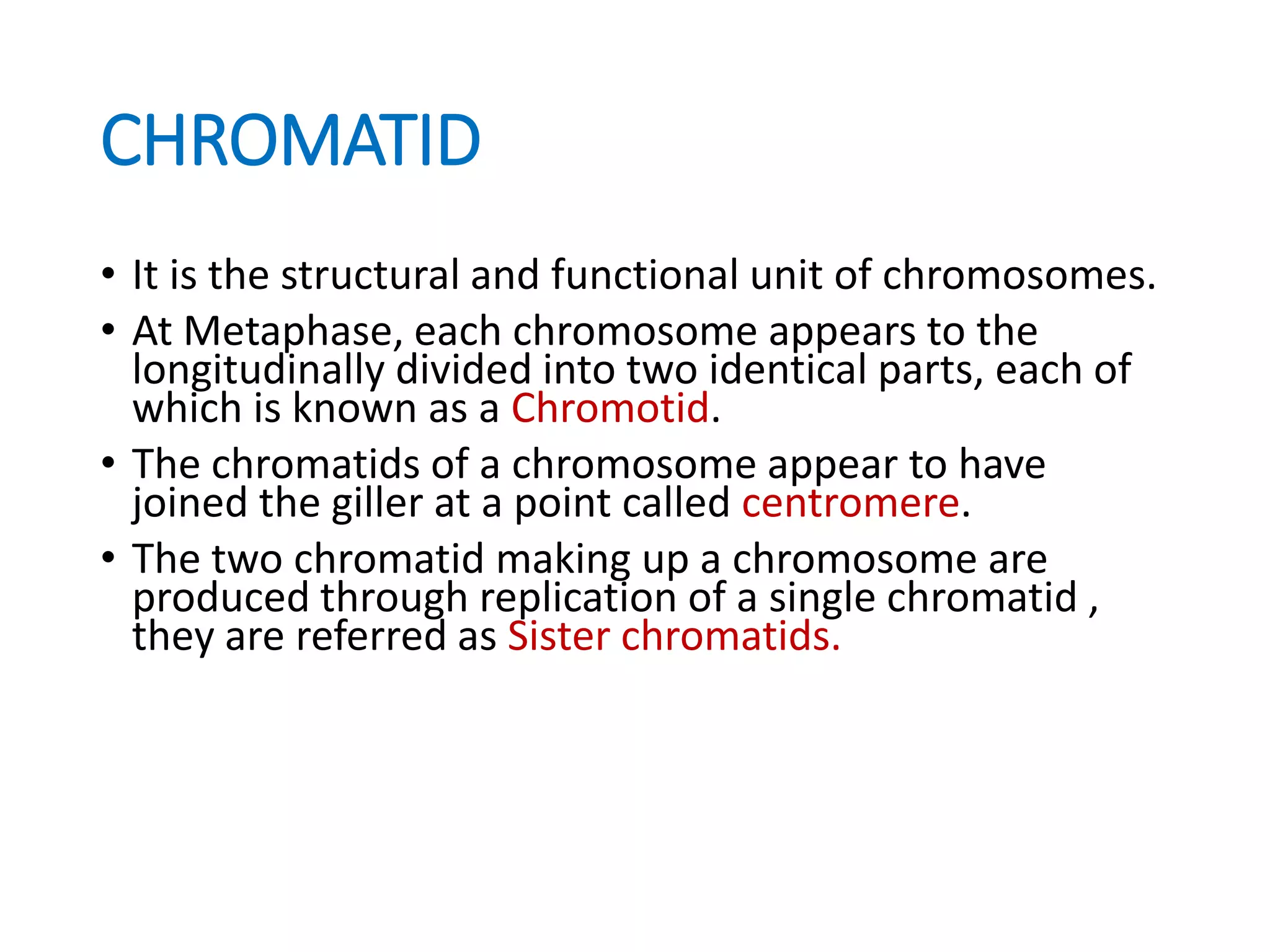 Morphology of Chromosomes | PPTX