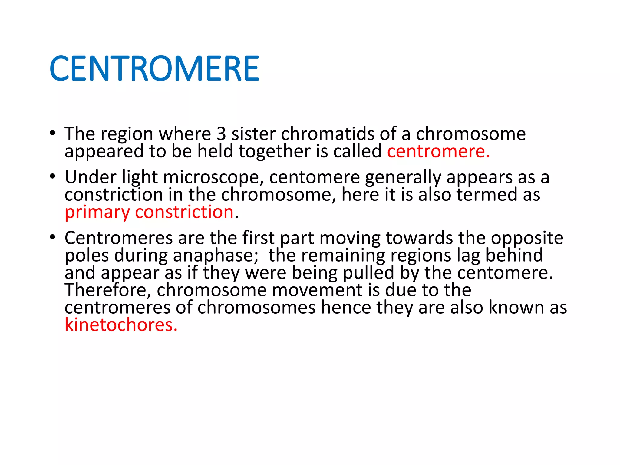 Morphology of Chromosomes | PPTX